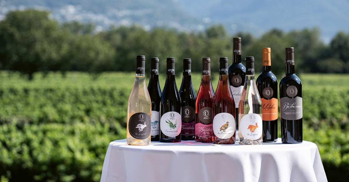 Interview Castello del Sole Ascona | wirtschaftsforum.de